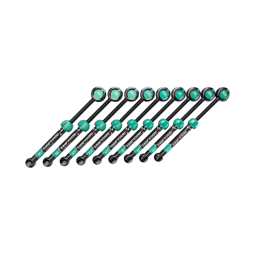 G-aenial ACHORD AO1 1 x 2.1ml / 4g - Dentamed